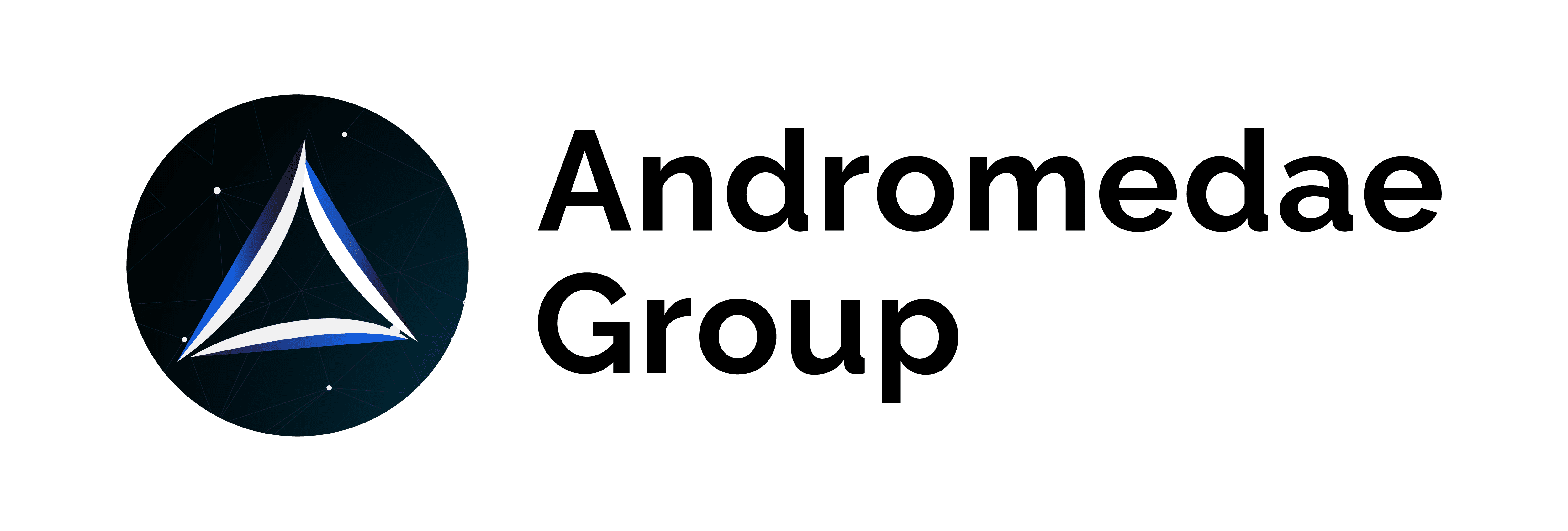 Andromedae Group – Accelerating Business Growth with AI